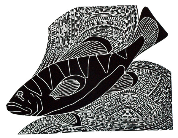 Pampam (Footballer Cod) - Canopy